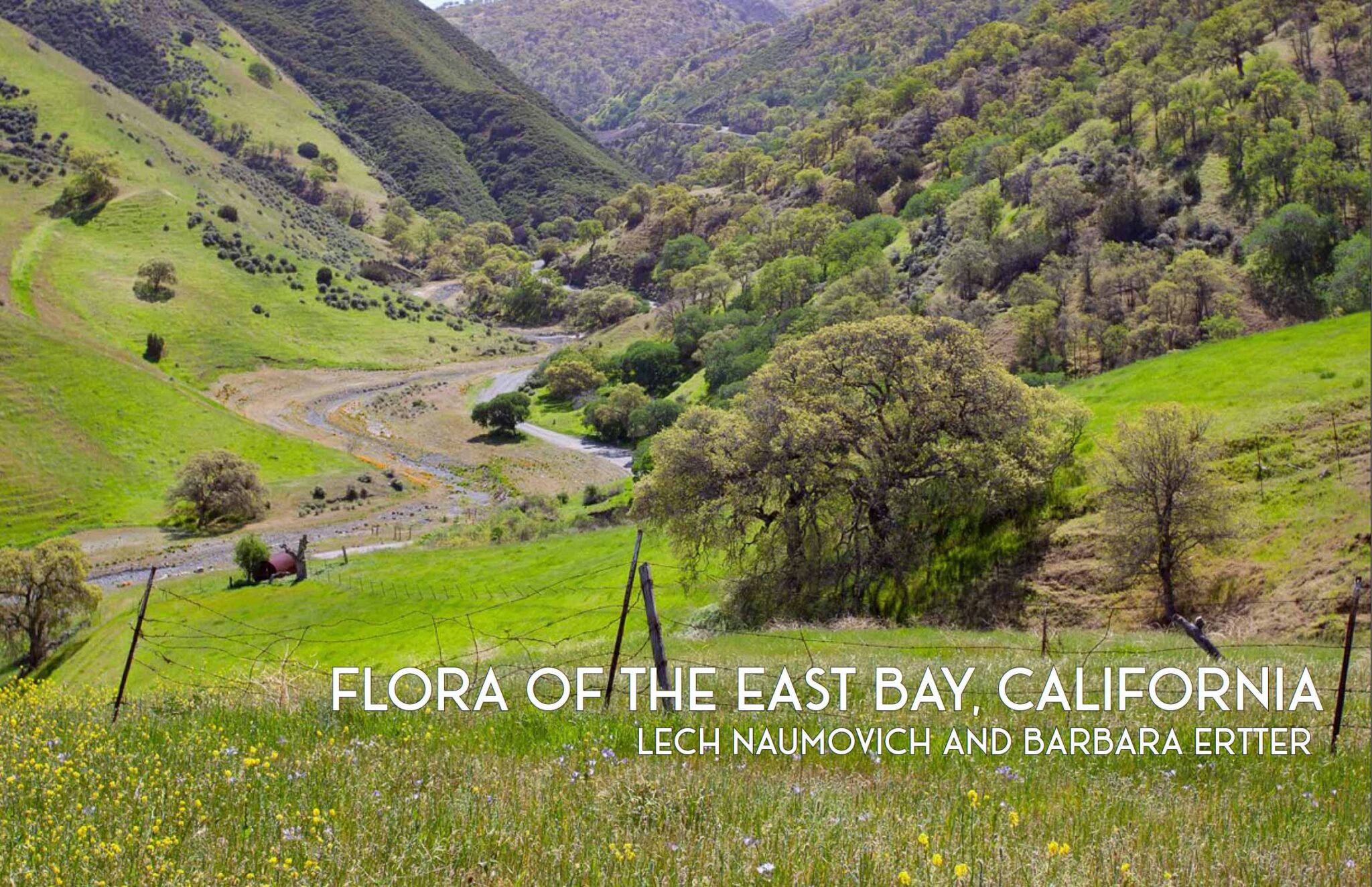 Checklist of East Bay Flora - Native Here Nursery